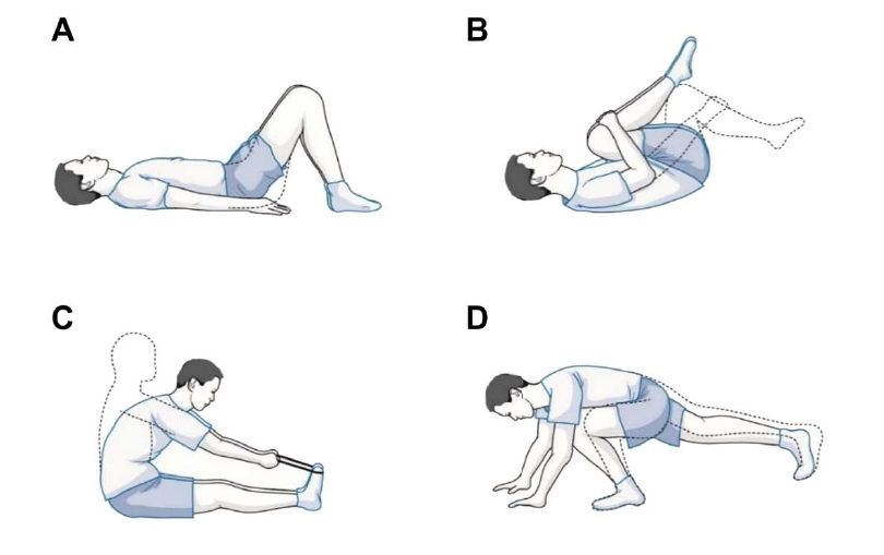 News - Beugen oder Strecken?